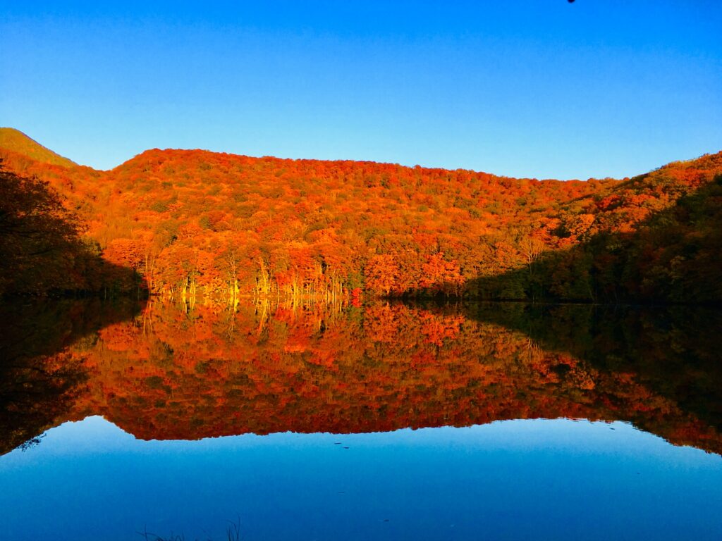 【2022年】紅葉の見頃はいつまで？穴場から定番まで紅葉の名所おすすめ32選 【CAZUAL】